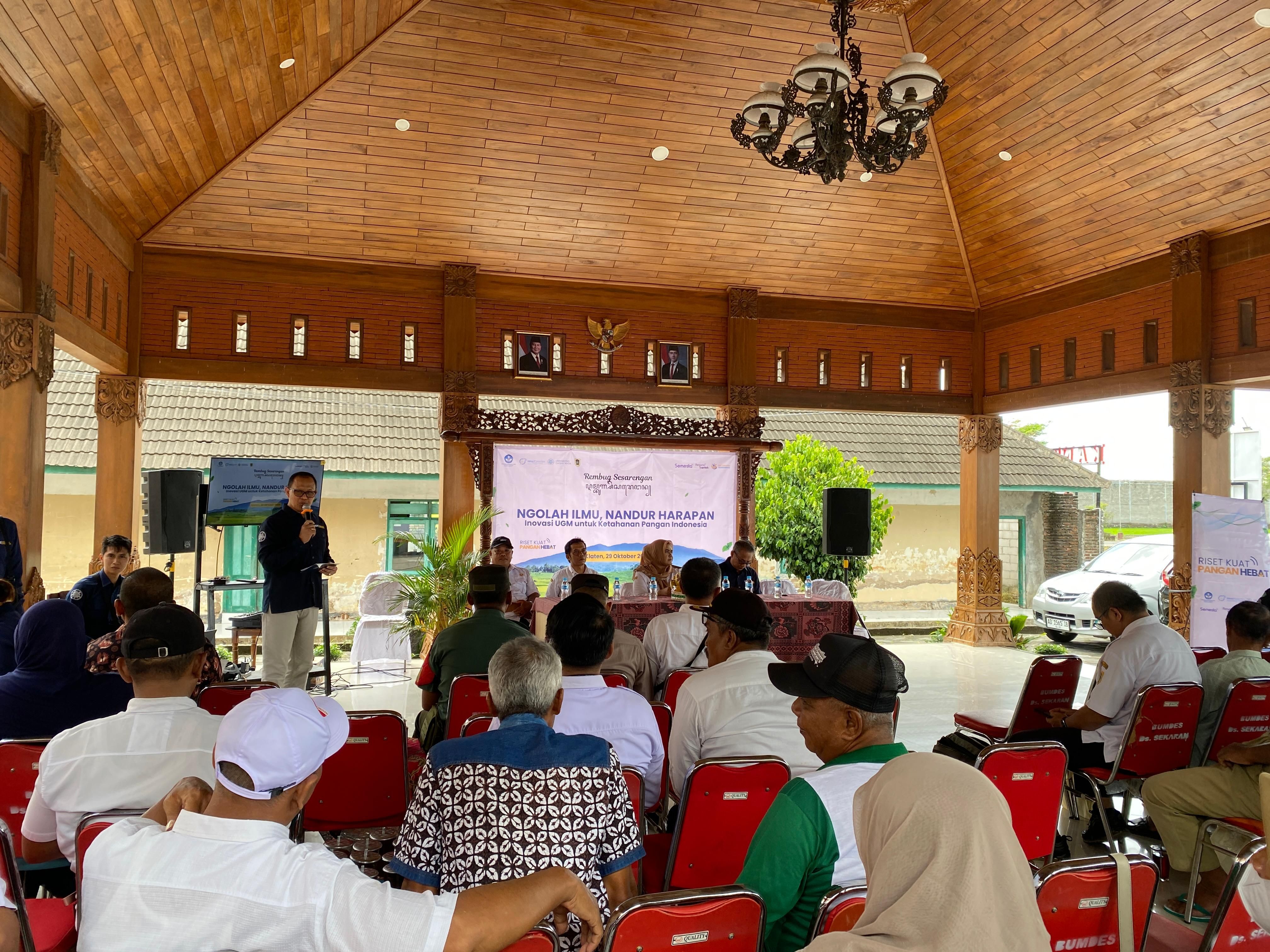 Mengenal Varietas Padi Gamagora yang dikembangkan oleh UGM - RRI.co.id